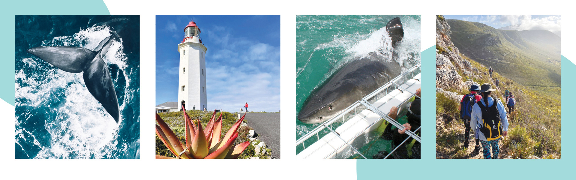 Home Page - Overstrand Municipality