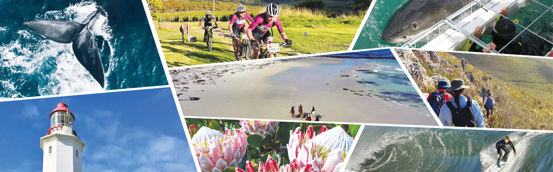 Home Page - Overstrand Municipality