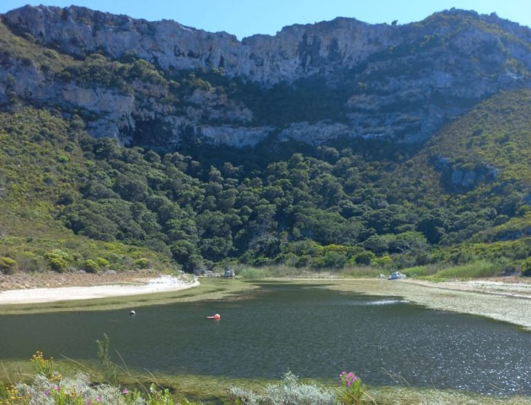 Pearly Beach tap water: reasons for the smell, taste and change in ...