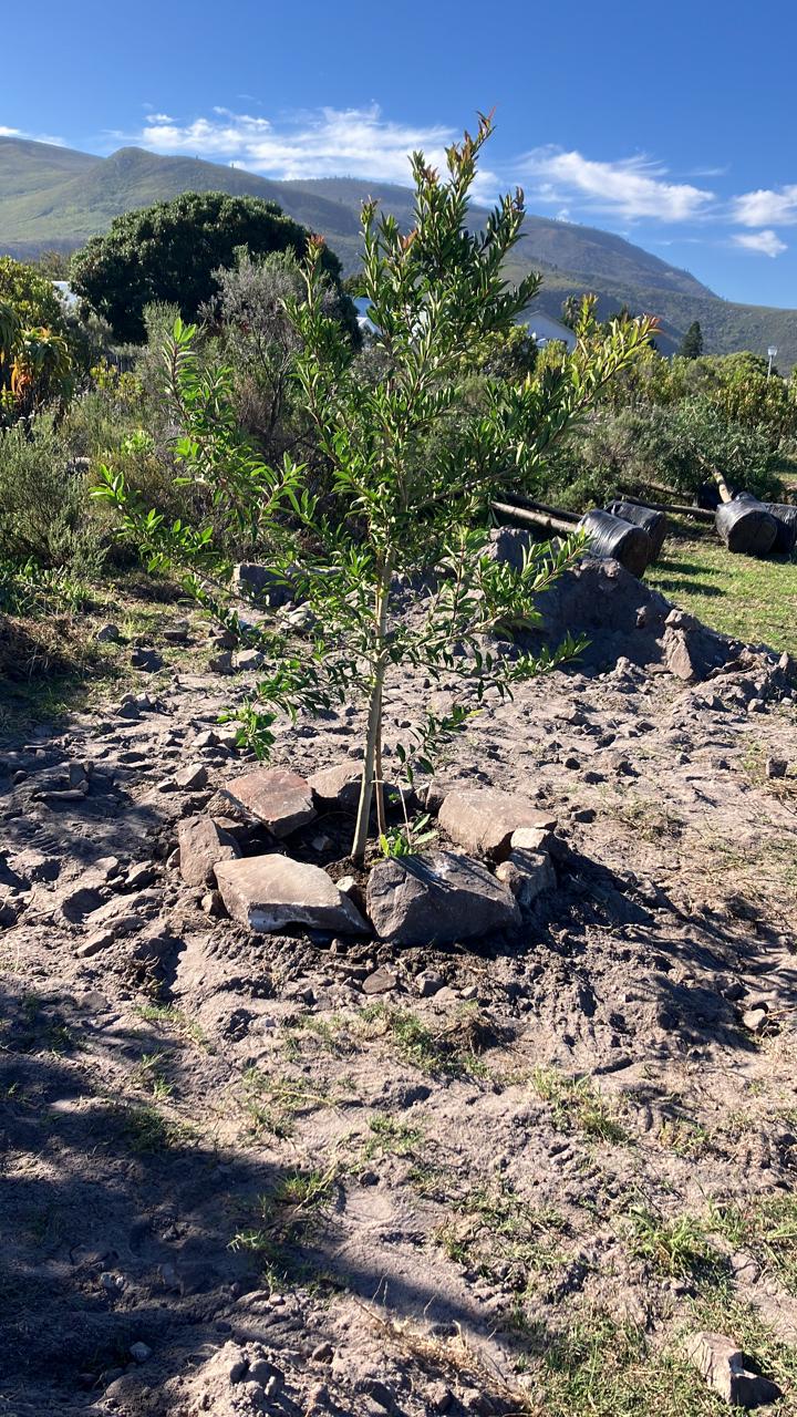 Upgrade to begin at Sandbaai playground - Overstrand Municipality