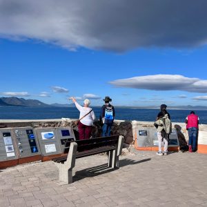 Home Page - Overstrand Municipality