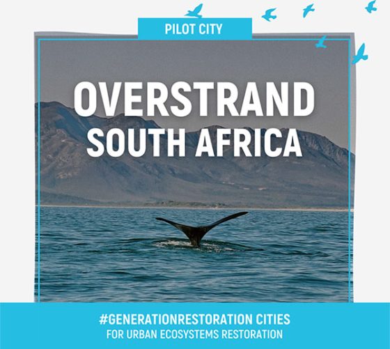 Overstrand Municipality Announced as one of the UNEP six new cities ...